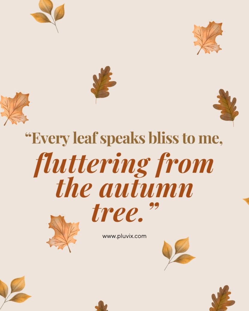 20 Inspirational Leaf Quotes About Life and Growth - Pluvix