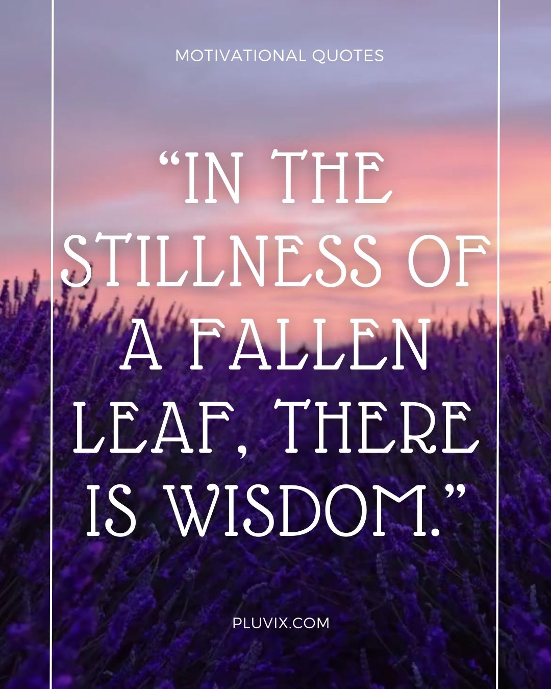 20 Inspirational Leaf Quotes About Life and Growth - Pluvix